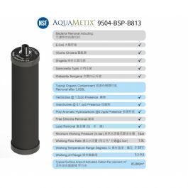 飛力 - B813 8" 9504-BSP 型接咀全纖維碳過濾芯 [香港行貨] | The Club – Shopping